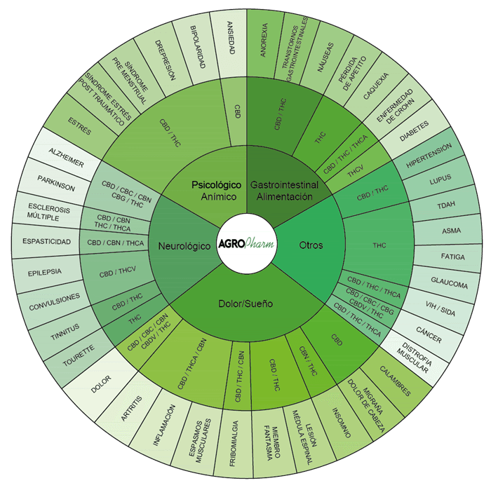 Cannabinoids in Diseases: Types and Therapeutic Effects